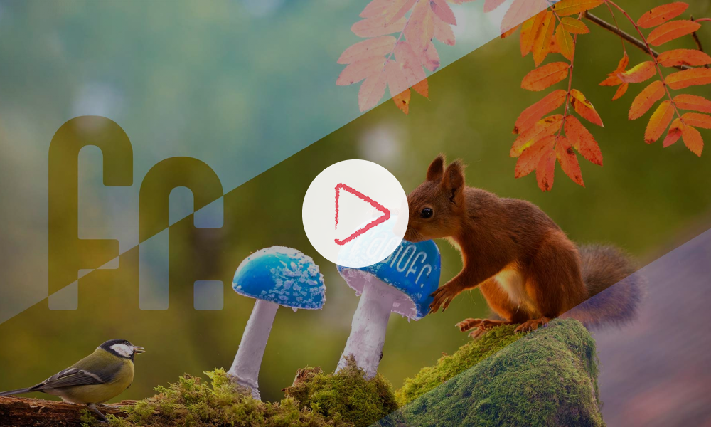 PURE Jingles - Radio Fribourg