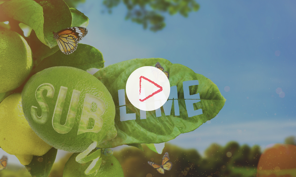 PURE Jingles - Sublime